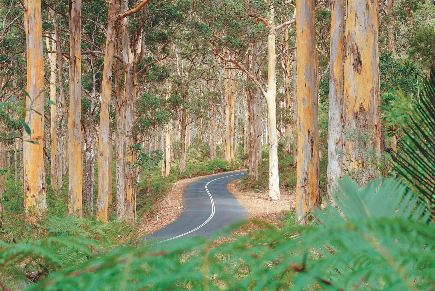 Perth Self-Drive Packages